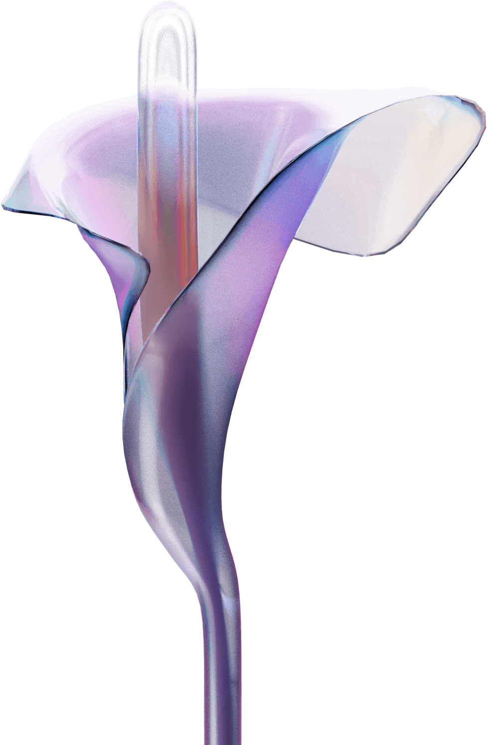 Home – Neurai